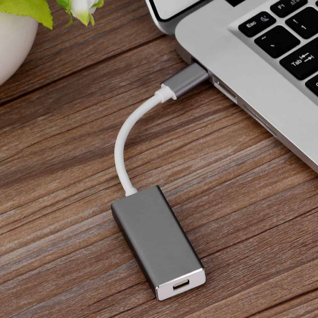 USB-C til Mini DisplayPort | Pippin